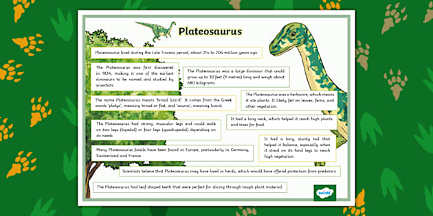 Plateosaurus Facts Display Poster (Hecho por educadores) Plateosaurus Facts Display Poster (Hecho por educadores)