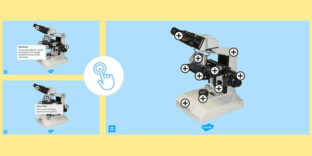 Parts of the Microscope Picture Hotspots | Science | Beyond