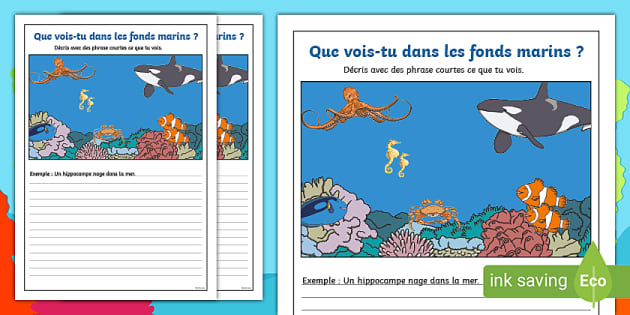 Décrire une image : Les fonds marins - Twinkl