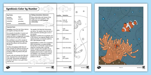 Seventh Grade Symbiosis Color by Number Activity - Twinkl