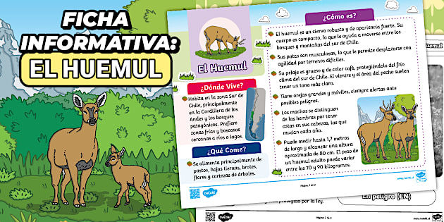 Ficha Informativa | El Huemul | Fauna Chilena | Ciencias