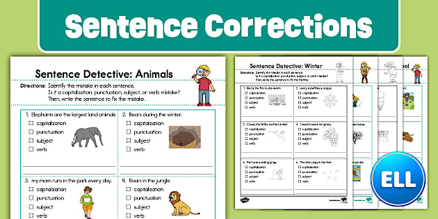 Sentence Detective: Find and Correct the Sentence Mistakes for ELL