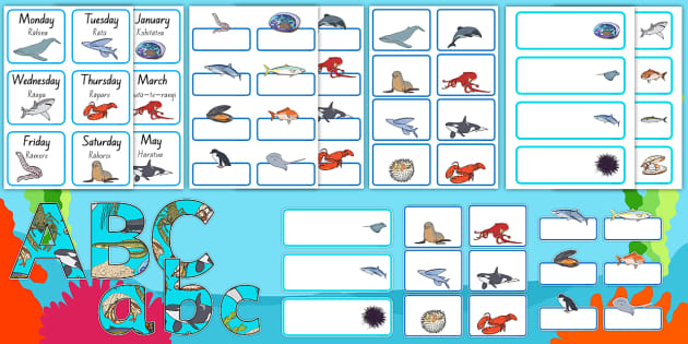 Back to School Under the Sea Resource Pack