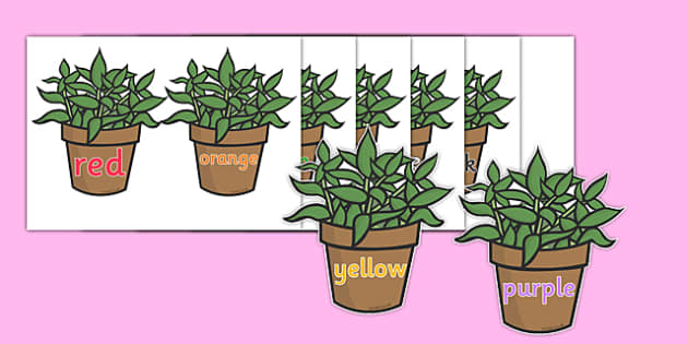 Florist Colours On Plant Pots Posters (teacher made)