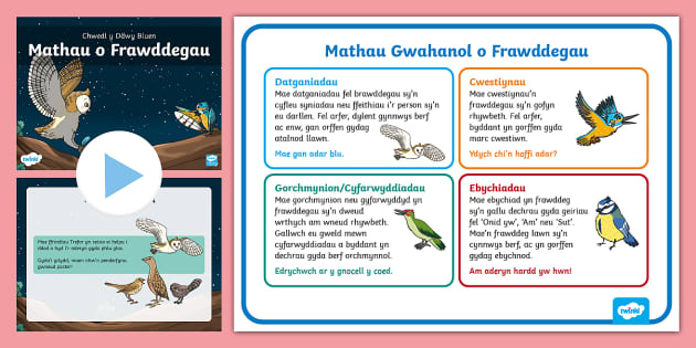 Chwedl Y Ddwy Bluen Pecyn Mathau Gwahanol O Frawddegau