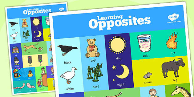 Opposites Poster (teacher made)