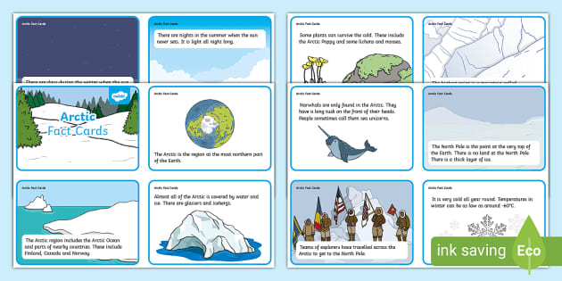 Arctic Fact Cards - Polar Regions - Geography - KS1 - Twinkl