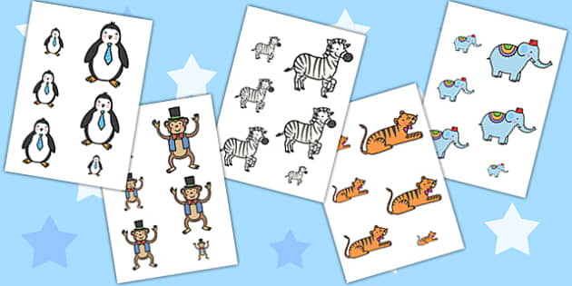 Animal Size Ordering (teacher made) - Twinkl