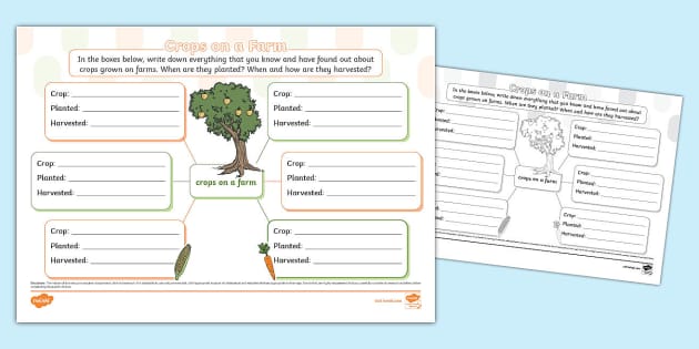Crops on a Farm Mind Map (teacher made) - Twinkl