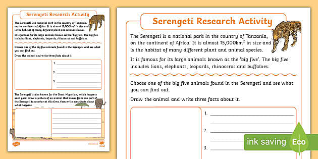 KS1 The Serengeti Research Activity (teacher made)