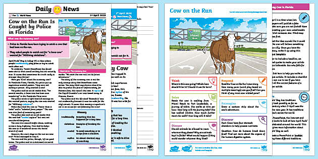 Strange But True News Stories | NewsRoom Resources - Twinkl