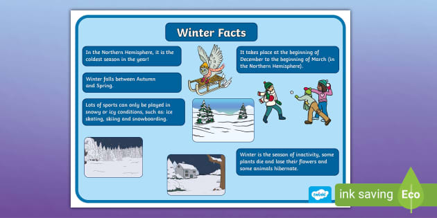 Winter Facts Display Poster (teacher made) - Twinkl Winter Facts Display Poster (teacher made) - Twinkl