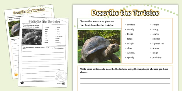 Describe the Tortoise Worksheet (teacher made) - Twinkl