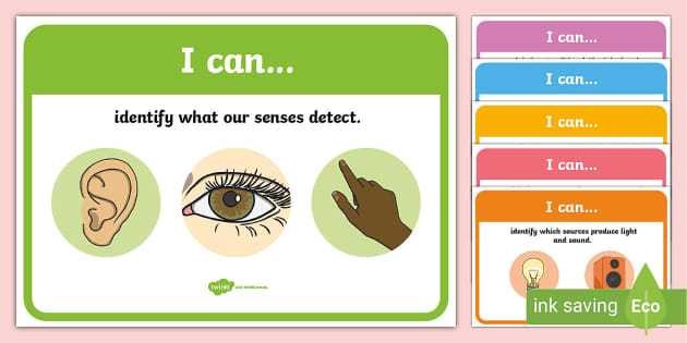 Sensational Sensory Investigators Year 2 I Can Statements