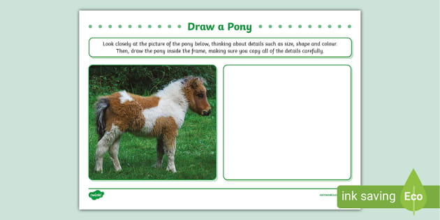Draw a Pony Art Activity, Pony, Ponies (teacher made)