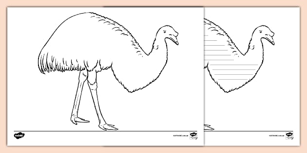 Emu Writing Template (professor feito) - Twinkl