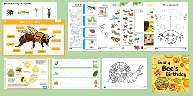 FREE! - Insects Special Resource Pack for The Unit Study Method