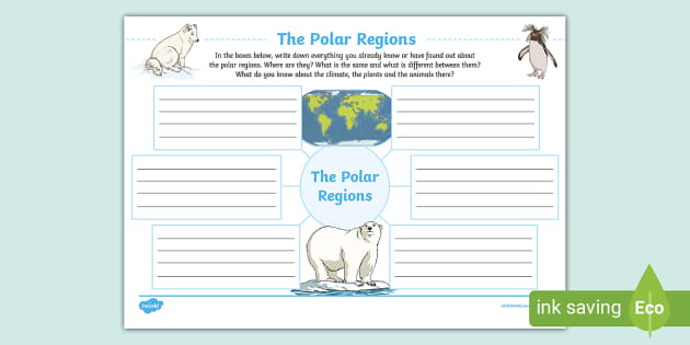 * NEW * The Polar Regions Mind Map,The Polar Regions