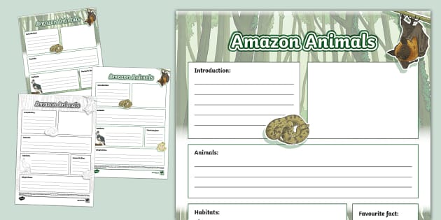 Amazon Animals Non-Chronological Report Template - Twinkl