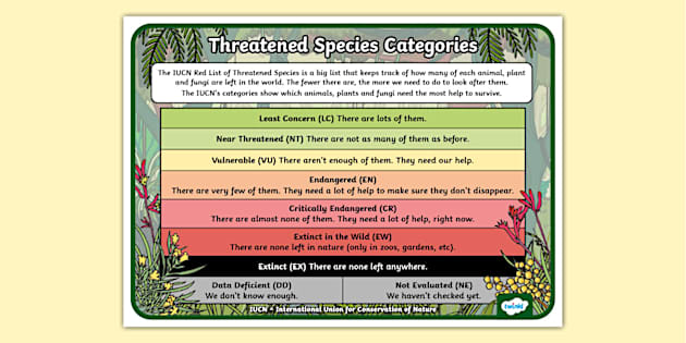 Threatened Species Categories Poster (teacher made) - Twinkl