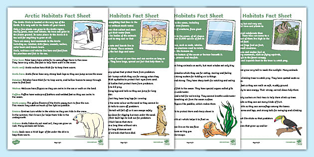 World Habitats Fact Sheets - Facts About Habitats Resources