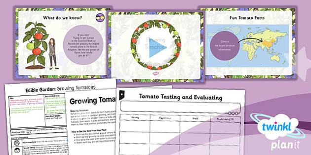 D&T: Edible Garden: Tasting and Growing Tomatoes LKS2 Lesson Pack 5