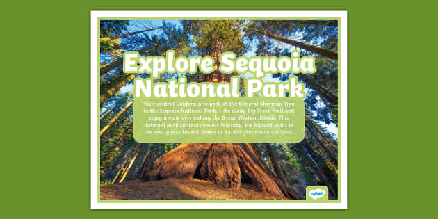 Explore Sequoia National Park Poster (teacher made) - Twinkl