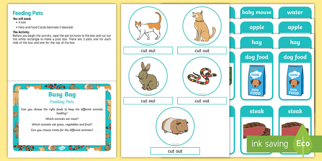 Feeding Pets Posting Busy Bag Prompt Card and Resource Pack