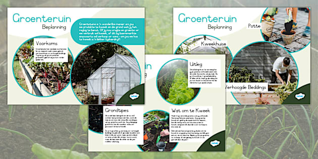 Groentetuin Beplanning (teacher made) - Twinkl