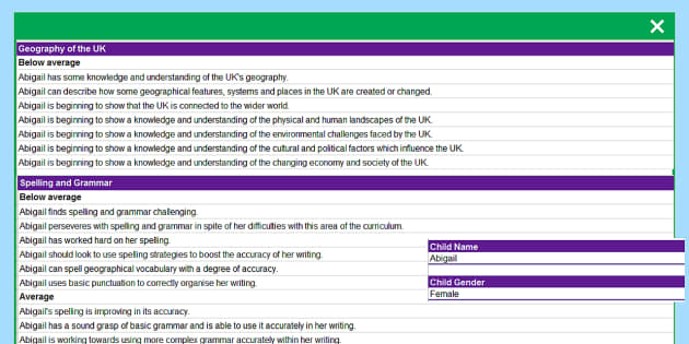 GCSE Geography Report Statements Differentiated Spreadsheet