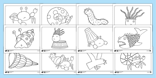 FREE! - Colouring Sheets to Support Teaching on Sharing a Shell