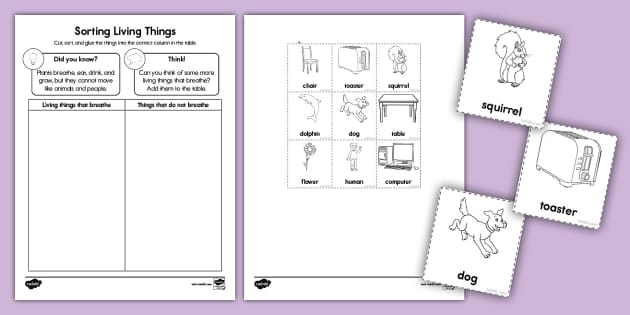 Characteristics of Living Things Worksheet - Breath - Twinkl