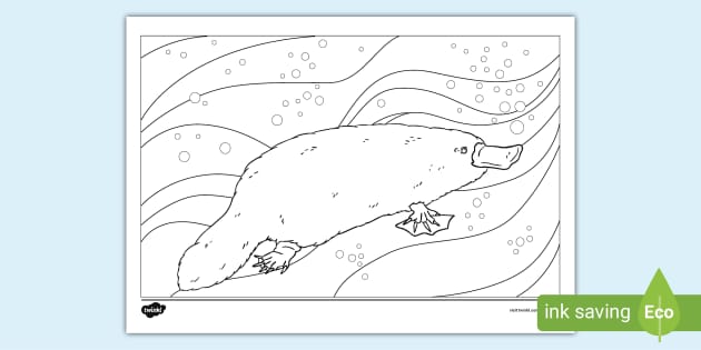 free platypus coloring page