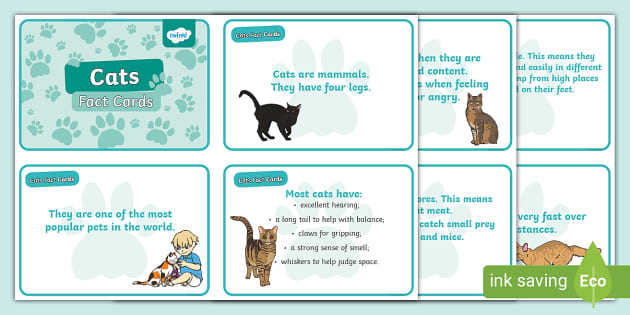 Interesting Facts About Cats | Parents (l'enseignant a fait)