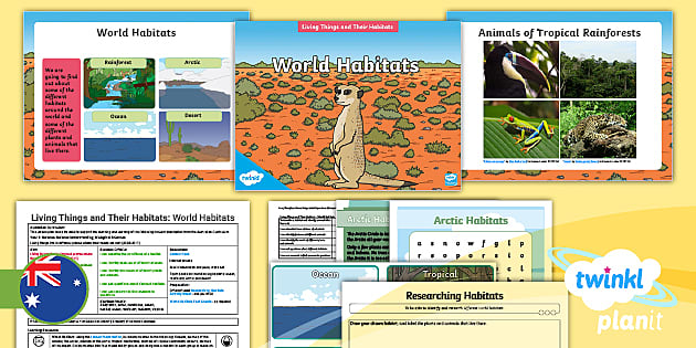 Year 1 Science Living Things and Their Habitats Lesson 4