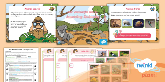 Foundation Science Wonderful World Lesson 2 Amazing Animals