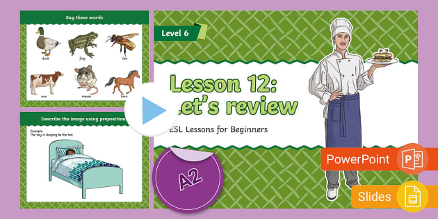 ESL Curriculum Level 6, Lesson 12 (teacher made) - Twinkl