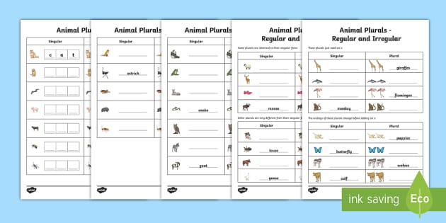 Animal Plurals Differentiated Activity Sheets (teacher made)