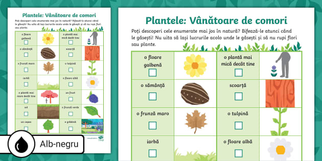 Plantele: Vânătoare de comori – Listă de verificare