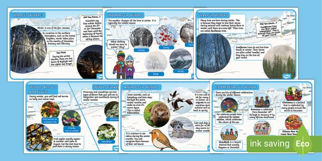 EYFS All About Winter Fact Files | Twinkl (teacher made)