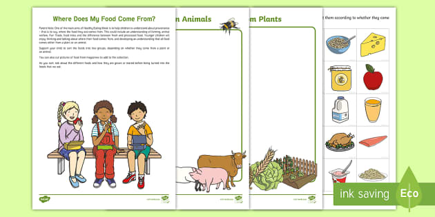 Where Does My Food Come From? Worksheet - Twinkl