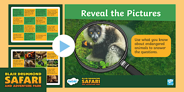 Blair Drummond - Endangered Species PowerPoint Activity