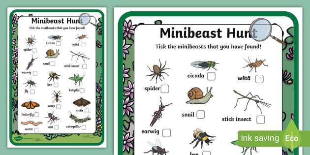 New Zealand Minibeast Hunt Checklist (teacher made) - Twinkl