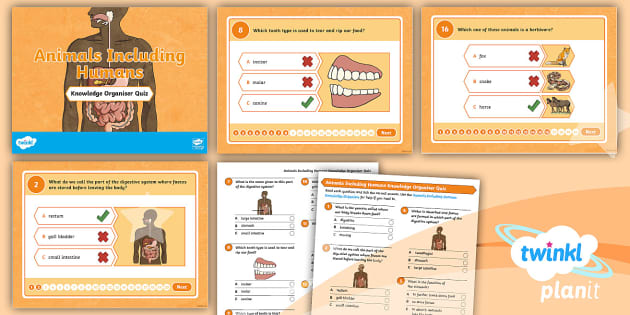 Human And Animal Quiz With Answers | Year 4 Science