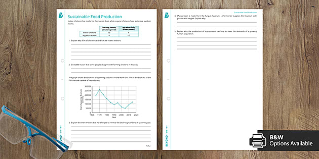 Sustainable Food Production Worksheet | Ecology | Beyond