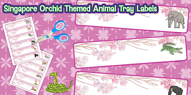 Singapore Orchid Themed Animal Lables - Twinkl