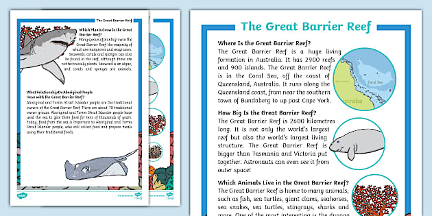 Great Barrier Reef Fact File - Twinkl