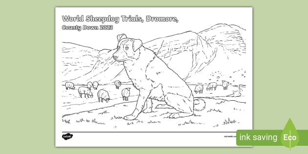 sheepdog coloring pages