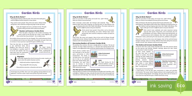 Super Science Projects for Kids - Twinkl