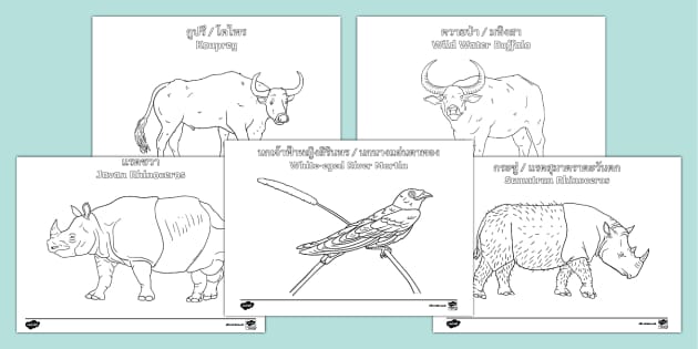 Reserved wild animals of Thailand Colouring Pages